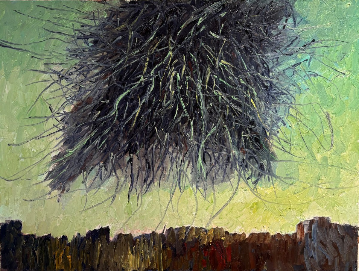 New oil Paintings – Sharon Eckhardt Art